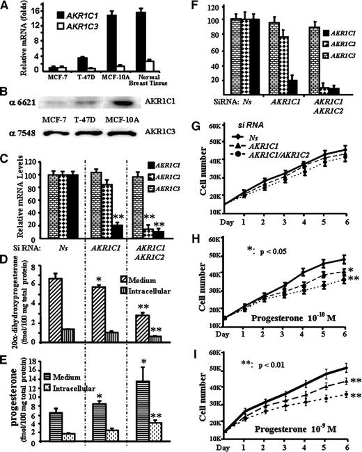 Selective Loss of AKR1C1 and AKR1C2 in Breast Cancer and Their ...