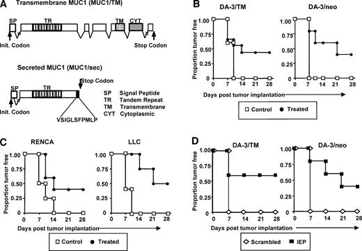 A Unique Mucin Immunoenhancing Peptide with Antitumor Properties ...