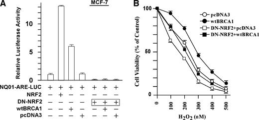 BRCA1 Induces Antioxidant Gene Expression and Resistance to Oxidative ...