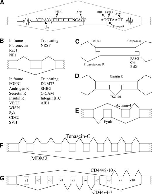 Aberrant and Alternative Splicing in Cancer | Cancer Research ...
