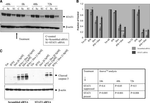 STAT1 | Cancer Research | American Association for Cancer Research