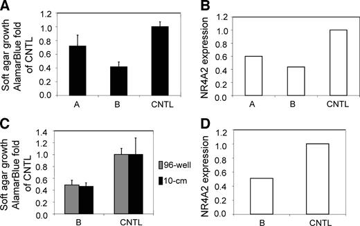 Nuclear Hormone Receptor NR4A2 Is Involved in Cell Transformation and ...