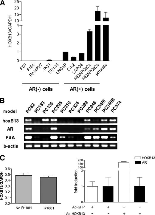 HOXB13 Induces Growth Suppression of Prostate Cancer Cells as a ...