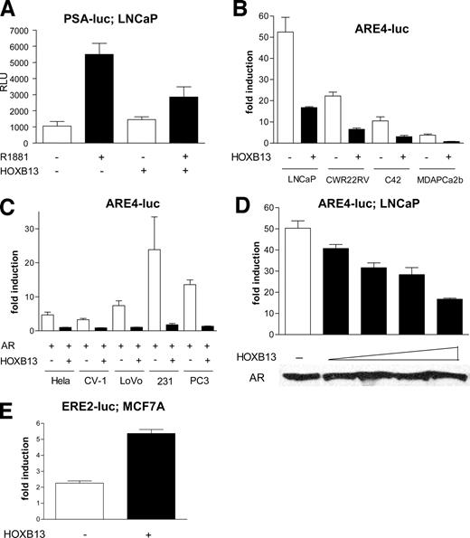 HOXB13 Induces Growth Suppression of Prostate Cancer Cells as a ...