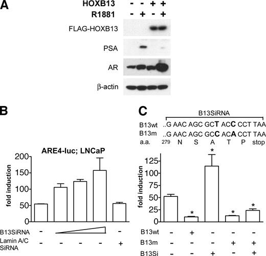 HOXB13 Induces Growth Suppression of Prostate Cancer Cells as a ...