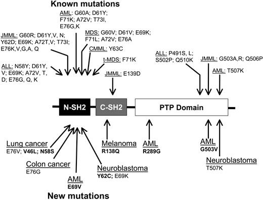 Activating Mutations of the Noonan Syndrome-Associated SHP2/PTPN11 Gene ...