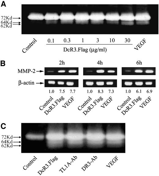 Soluble Decoy Receptor 3 Induces Angiogenesis by Neutralization of TL1A ...