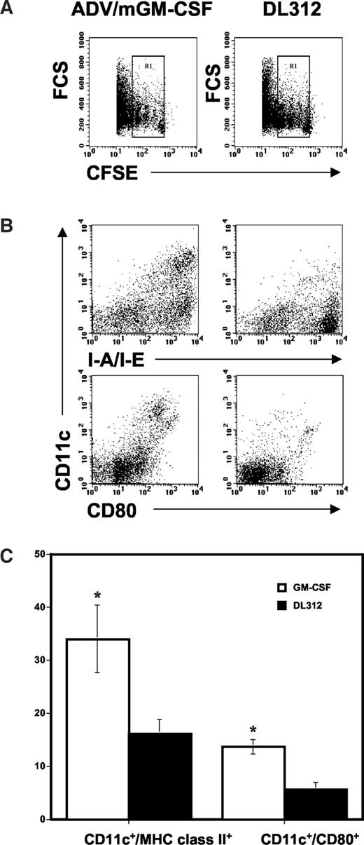 Role of Immature Myeloid Gr-1+ Cells in the Development of Antitumor ...
