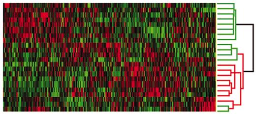 Biomarkers of Esophageal Adenocarcinoma and Barrett’s Esophagus ...