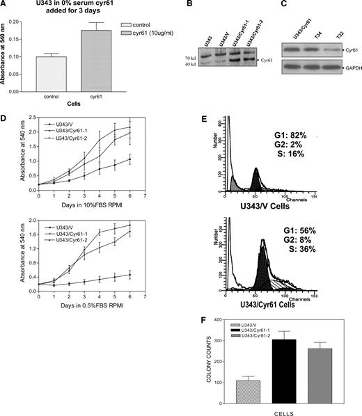 Cyr61 Is Overexpressed in Gliomas and Involved in Integrin-Linked ...