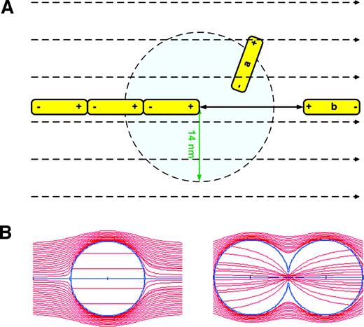 Disruption of Cancer Cell Replication by Alternating Electric Fields ...