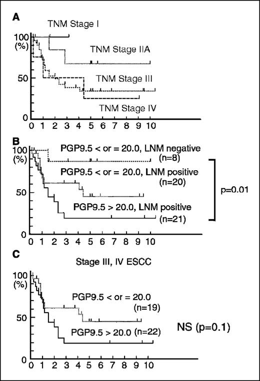 PGP9.5 Promoter Methylation Is an Independent Prognostic Factor for ...