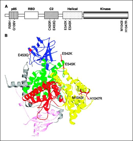 Functional Analysis of PIK3CA Gene Mutations in Human Colorectal Cancer ...