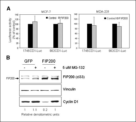 Mechanism of Cell Cycle Regulation by FIP200 in Human Breast Cancer ...