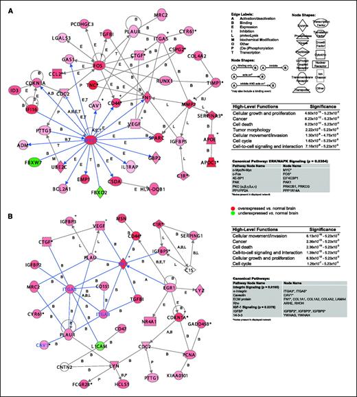 Functional Network Analysis Reveals Extended Gliomagenesis Pathway Maps ...