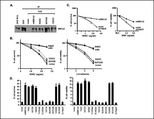 Functional Evaluation and Cancer Risk Assessment of BRCA2 Unclassified ...