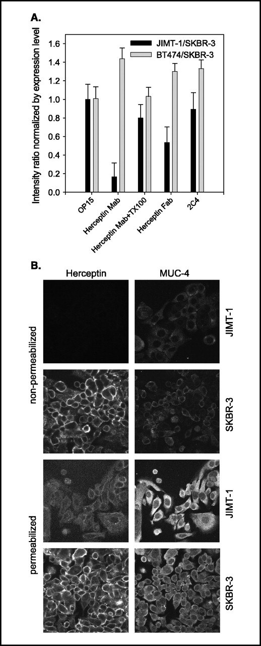 Decreased Accessibility and Lack of Activation of ErbB2 in JIMT-1, a ...