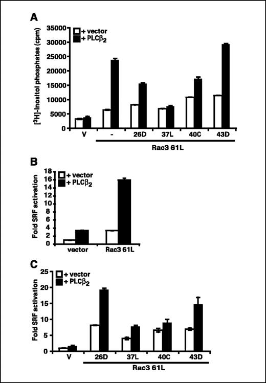 Rac3-Mediated Transformation Requires Multiple Effector Pathways ...