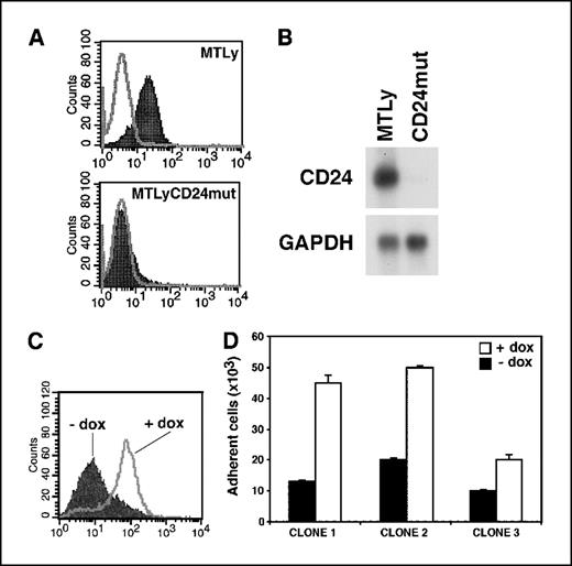 CD24 Expression Causes the Acquisition of Multiple Cellular Properties ...
