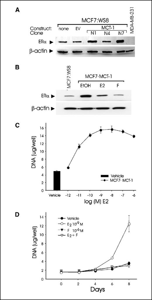MCT-1 Oncogene Contributes to Increased In vivo Tumorigenicity of MCF7 ...