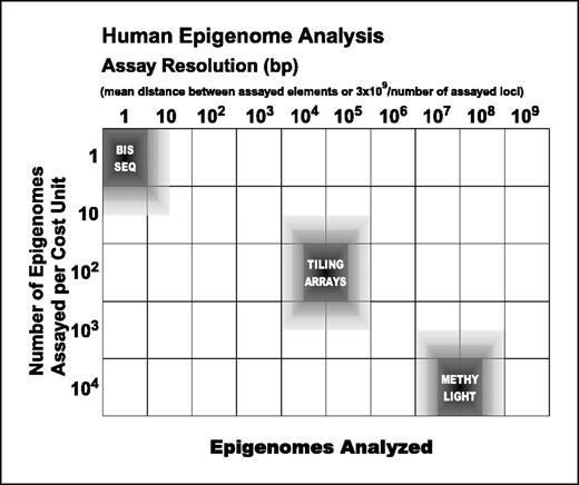 A Blueprint for a Human Epigenome Project: The AACR Human Epigenome ...