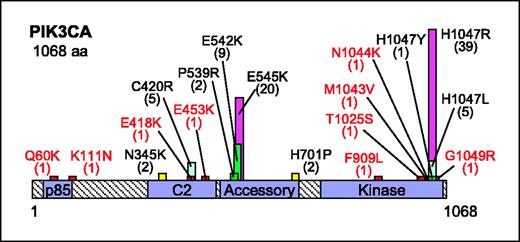 PIK3CA Mutations Correlate with Hormone Receptors, Node Metastasis, and ...