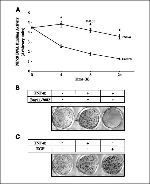 Malignant Transformation of Immortalized HaCaT Keratinocytes through ...