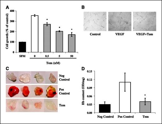 Antiangiogenic Potential of the Mammalian Target of Rapamycin Inhibitor ...