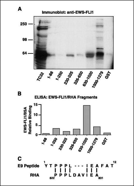 Oncoprotein EWS-FLI1 Activity Is Enhanced by RNA Helicase A | Cancer ...