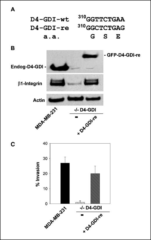 D4-GDI, a Rho GTPase Regulator, Promotes Breast Cancer Cell ...