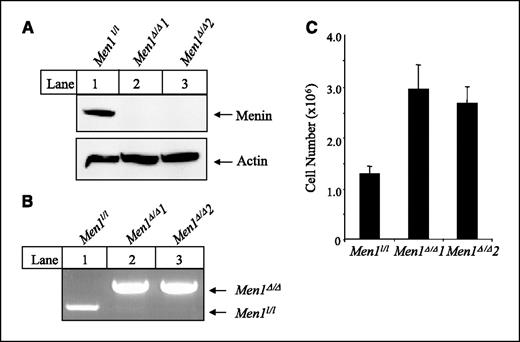 Mutation of Tumor Suppressor Gene Men1 Acutely Enhances Proliferation ...