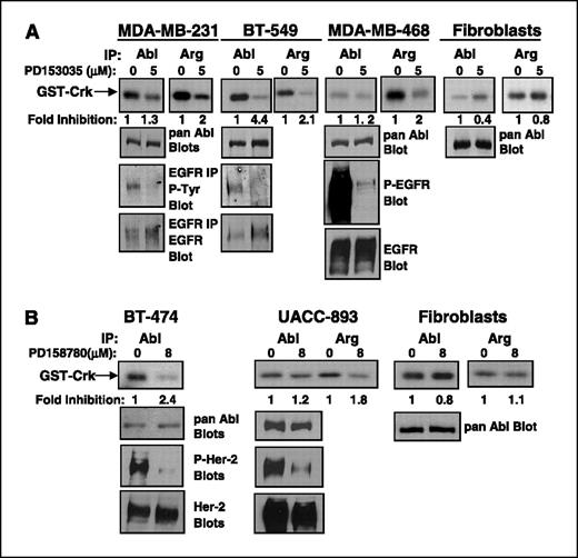 Activation of Abl Tyrosine Kinases Promotes Invasion of Aggressive ...