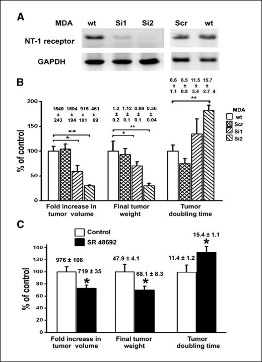Expression of Neurotensin and NT1 Receptor in Human Breast Cancer: A ...