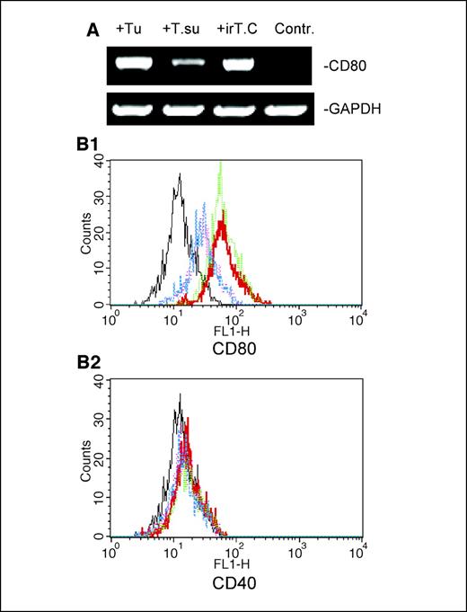 CD80 in Immune Suppression by Mouse Ovarian Carcinoma–Associated Gr-1 ...