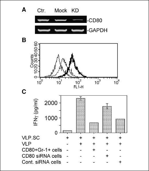 CD80 in Immune Suppression by Mouse Ovarian Carcinoma–Associated Gr-1 ...