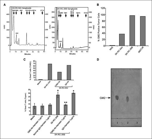 GM2 Expression in Renal Cell Carcinoma: Potential Role in Tumor-Induced ...