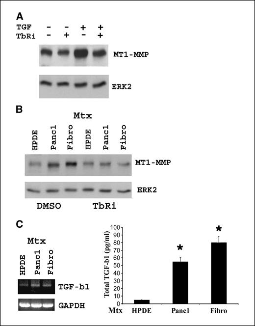 Extracellular Matrix–Mediated Membrane-Type 1 Matrix Metalloproteinase ...