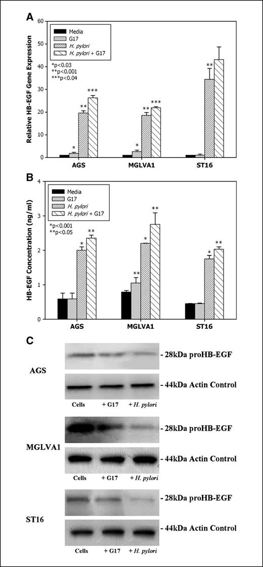 Helicobacter pylori Can Induce Heparin-Binding Epidermal Growth Factor ...