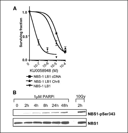 Deficiency in the Repair of DNA Damage by Homologous Recombination and ...
