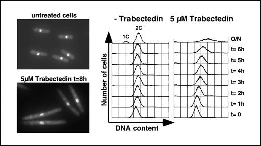 Cross-Talk between Nucleotide Excision and Homologous Recombination DNA ...