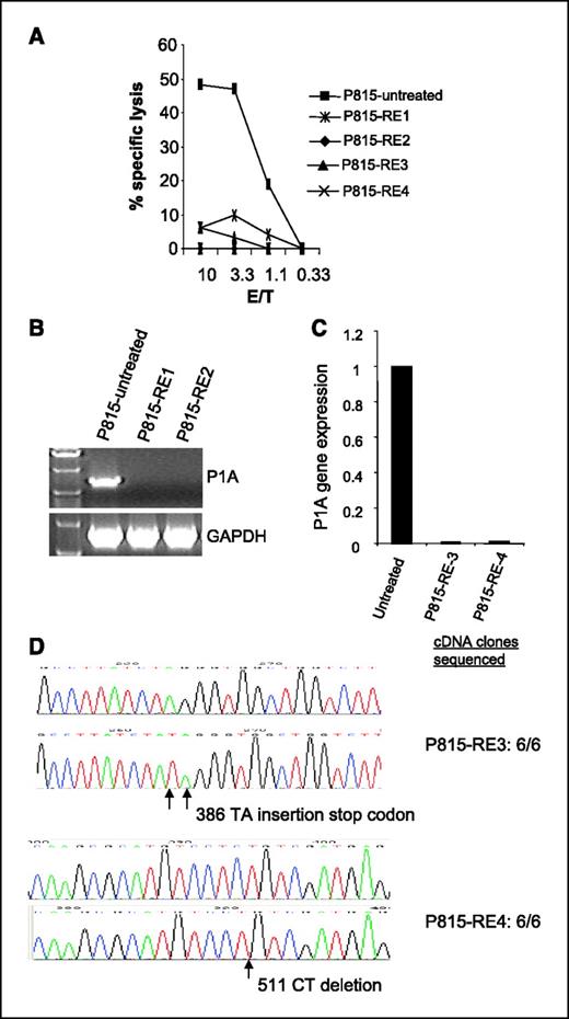 Different Lineages of P1A-Expressing Cancer Cells Use Divergent Modes ...
