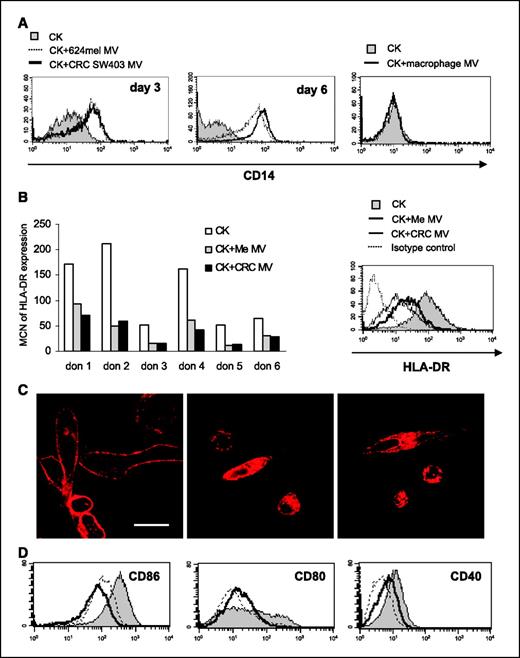 Human Tumor-Released Microvesicles Promote the Differentiation of ...
