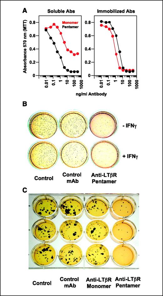 Targeting the Lymphotoxin-β Receptor with Agonist Antibodies as a ...