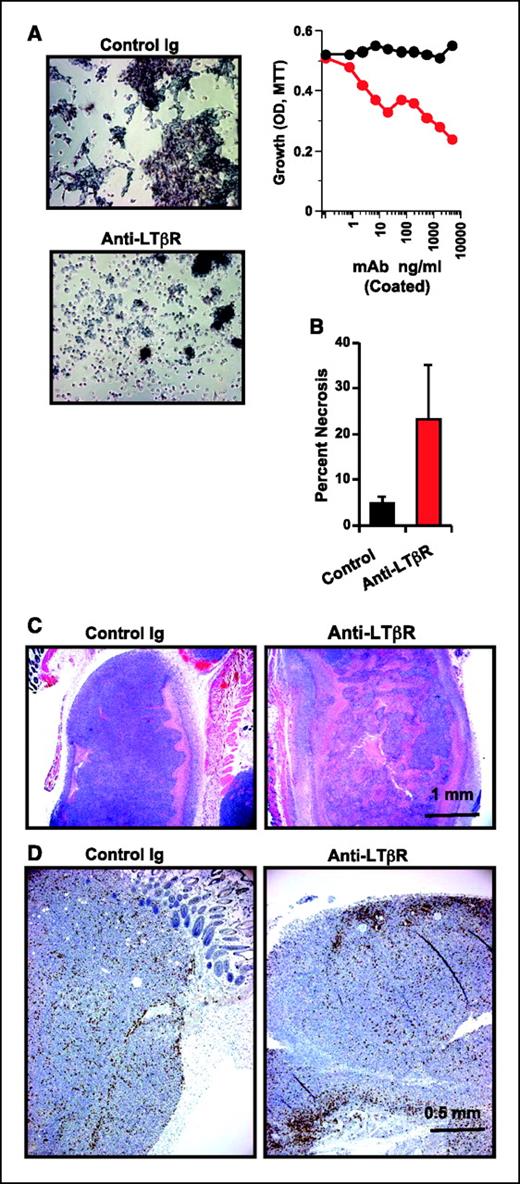 Targeting the Lymphotoxin-β Receptor with Agonist Antibodies as a ...