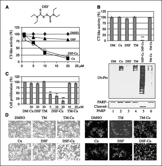 Disulfiram, a Clinically Used Anti-Alcoholism Drug and Copper-Binding ...
