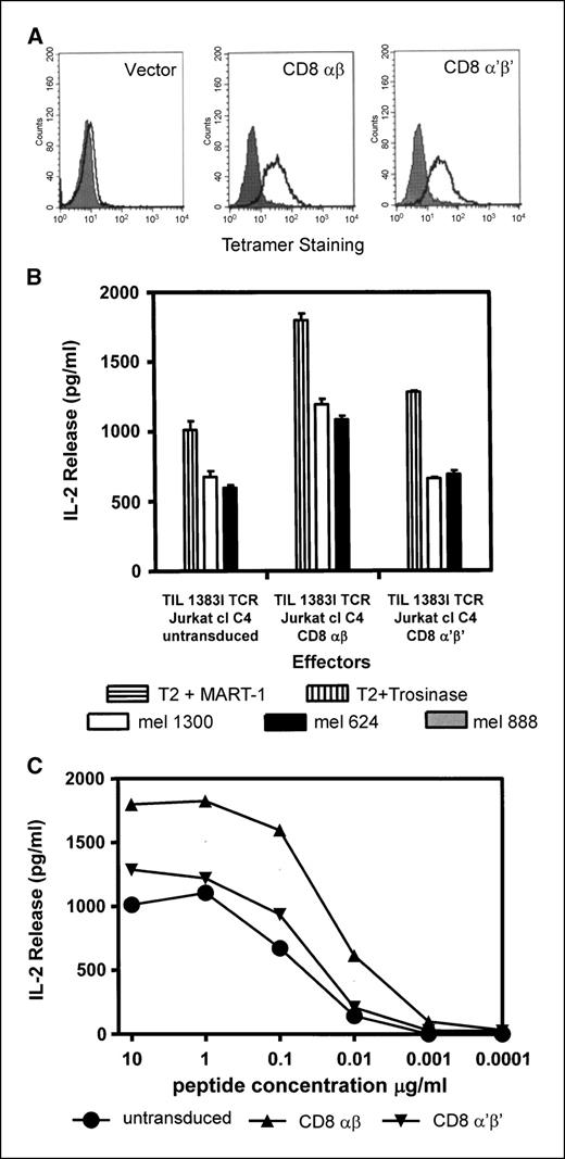 Influence of Human CD8 on Antigen Recognition by T-Cell Receptor ...