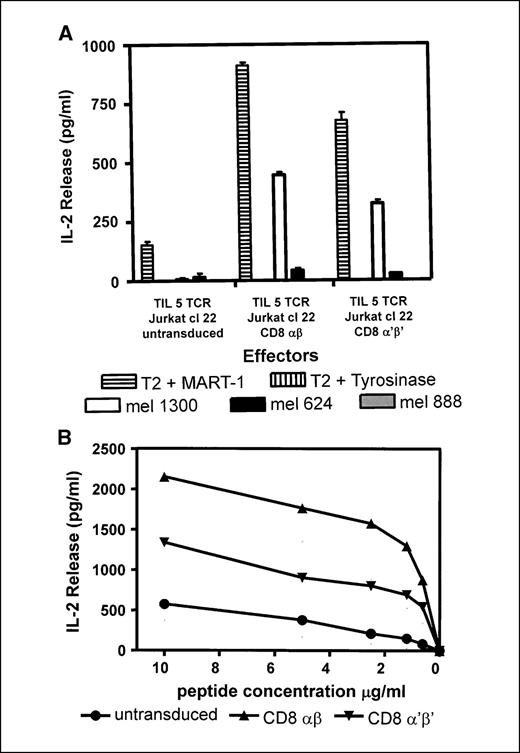Influence of Human CD8 on Antigen Recognition by T-Cell Receptor ...
