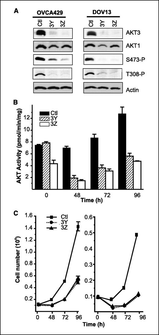 A Specific Role for AKT3 in the Genesis of Ovarian Cancer through ...