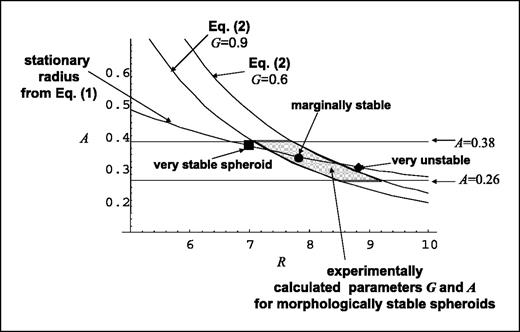 An Integrated Computational/Experimental Model of Tumor Invasion ...