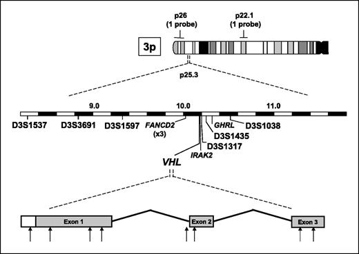Genetic and Epigenetic Analysis of von Hippel-Lindau (VHL) Gene ...